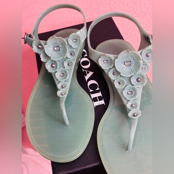 Coach | Shoes | Nib Coach Tea Rose Multi Jelly Thong Sandal Size 9 ...